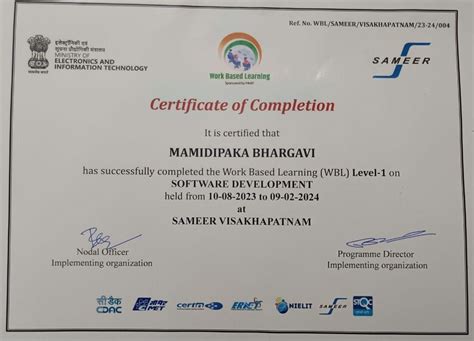 Softwaredevelopment Internship Workbasedlearning Careergrowth