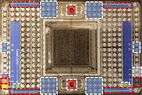 The Use Of The Fluidigm C1 For Rna Expression Analyses Of Single Cells