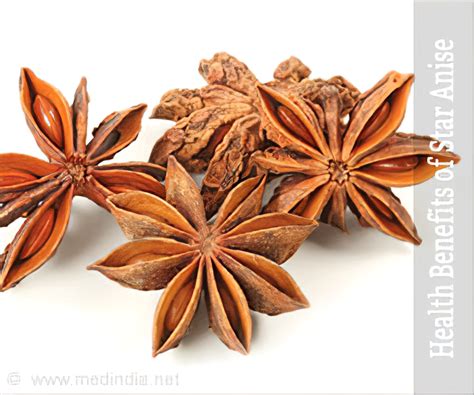 Star Anise Nutritional Benefits Besto Blog