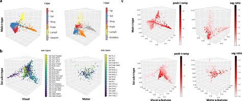 Trajectories Across T Types On The Latent Space After Nonlinear Download Scientific Diagram