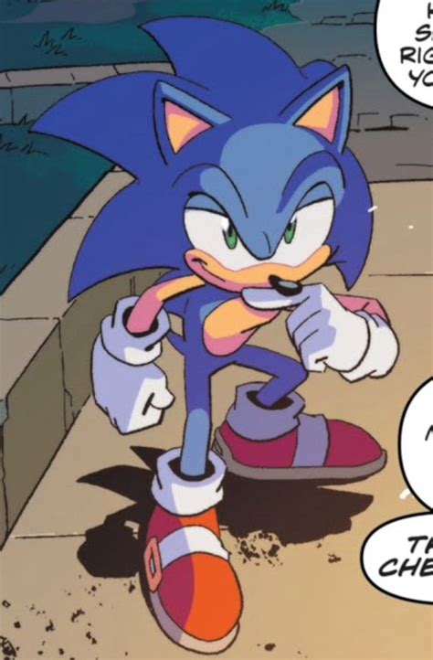 Pin By Ana Xxtreme On Sonic Sonic The Hedgehog Sonic Heroes Sonic