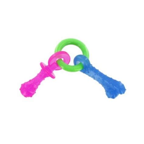 Nylabone Teething Puppy Pacifier Hund Bestell