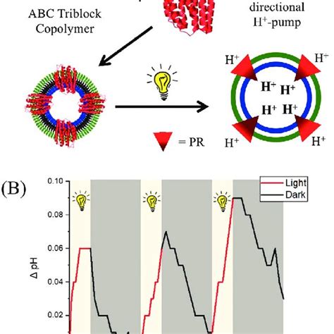 A Simplified Scheme Of The Self Assembly Of An Abc Triblock Copolymer