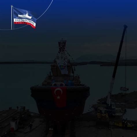 Elena Lnn Posted On Linkedin