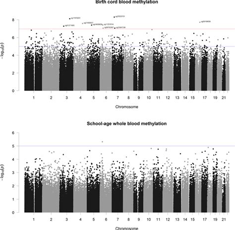 manhattan plot of −log10p values vs cpg position basepair and
