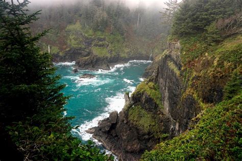 Hidden Forest Groves Of Oregons Coast Range Touristsecrets