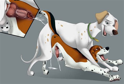 Rule 34 2024 Absurd Res Anal Anal Sex Animal Genitalia Animal Penis Balls Beagle Blurrypanda