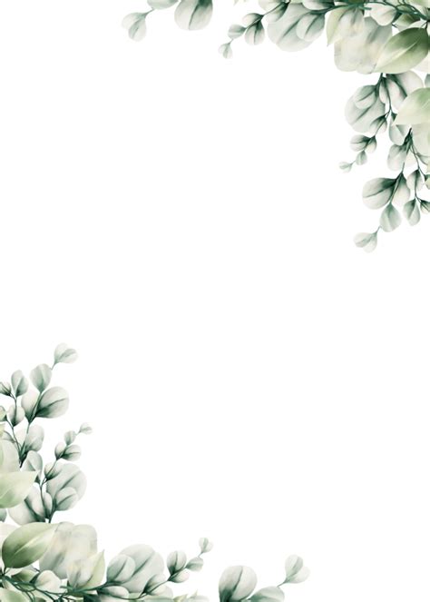 Moldura De Folha De Eucalipto Em Aquarela 10978267 Png