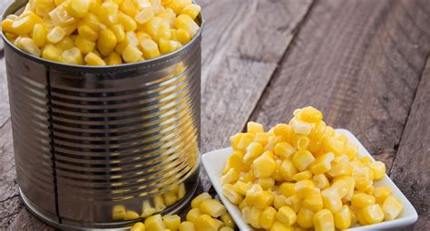 Introducing Canned Corn Kernels The Best Purchase Price Arad Branding