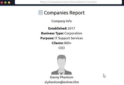 Tryhackme Vulnerabilities 101