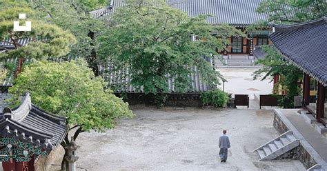 나무로 둘러싸인 안뜰에 서 있는 남자 사진 Unsplash의 무료 집 이미지