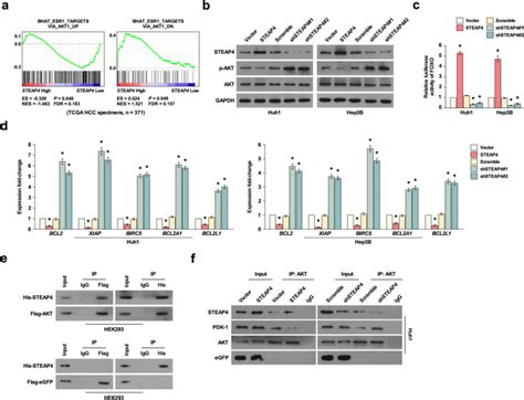 Steap4 Inhibits Cisplatin Induced Chemotherapy Resistance Through