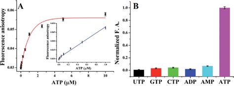 Sensitivity A And Selectivity B Of The Sensing Platform For Atp Download Scientific Diagram