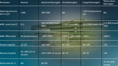 Meningitis In Csf Evaluation