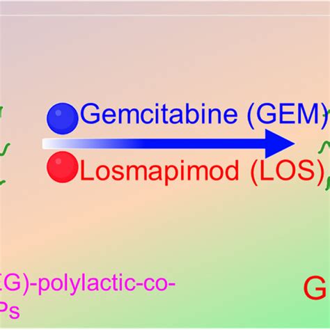 Schematic Demonstration Of The Fabrication Of Gemcitabine Gem And Download Scientific Diagram