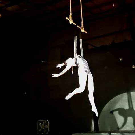 Heidi B Haidle Heidiblossom • Threads Say More