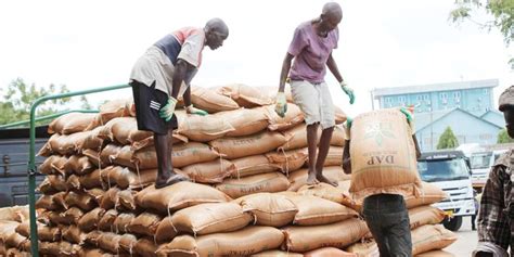 Why Investors Need To Consider Tanzanias Fertiliser Value Chain The