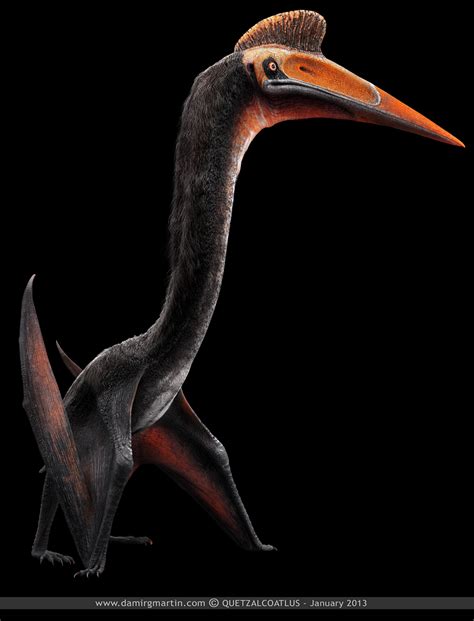 Quetzalcoatlus By Damir G Martin On Deviantart