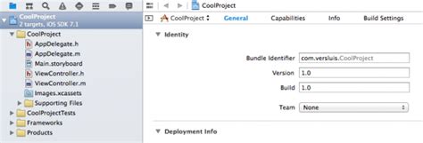How To Increase Your Build Number Automatically Every Time You Build