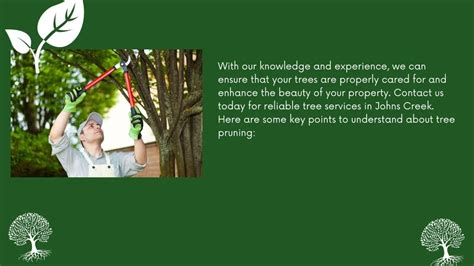 Ppt Basics Of Tree Pruning Powerpoint Presentation Free Download