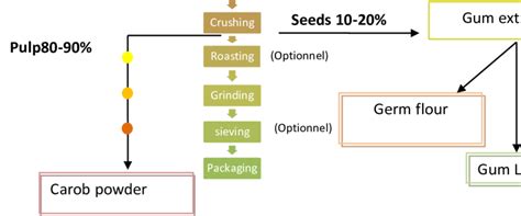 Diagram Illustrating The Different Stages Of Carob Pod Processing