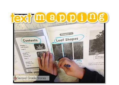 Text Mapping And Nonfiction Text Features Second Grade Stories