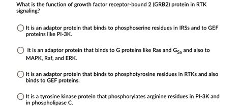 Solved What Is The Function Of Growth Factor Receptor Bound 2 Grb2 Protein In Rtk Signaling