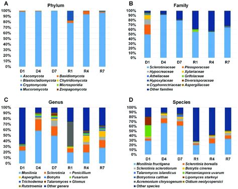 Taxonomy Classification Of Identified Fungi From Six Different