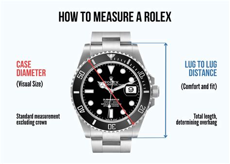 Rolex Case Sizes The Ultimate Guide And Size Chart 2026 The Watch