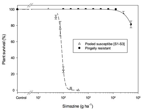 Simazine Resistant Silver Grass Australian Herbicide Resistance Initiative Ahri