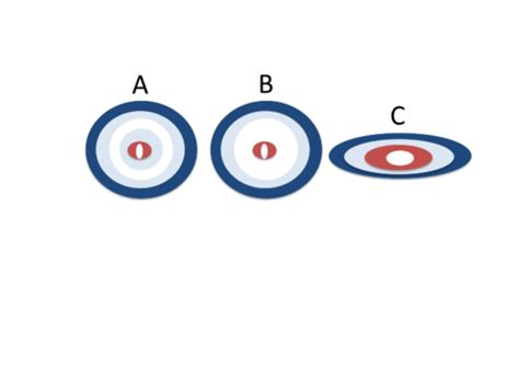 Bio 211 Exam 2 Flashcards Quizlet