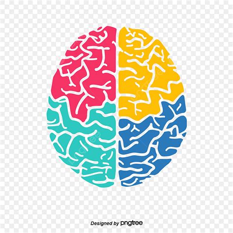 Colorful Brain Vector Hd Png Images Vector Color Brain Brain Clipart