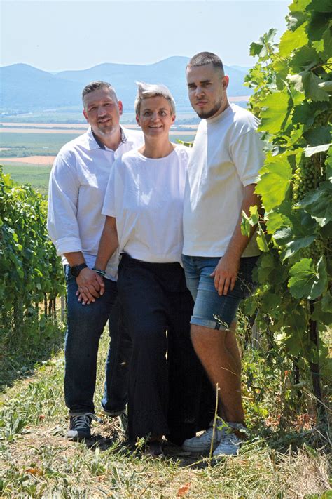 Tokaj Macik Winery Vinotéka