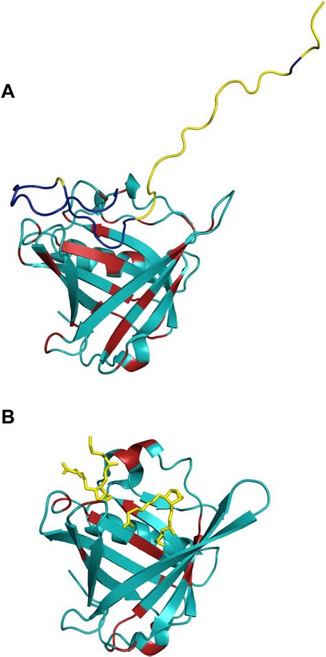 Model Of L Pgds In Complex With Aβ40 And L Pgds Substrate Analog
