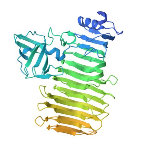 Rcsb Pdb 8bke Crystal Structure Of The Klebsiella Phage Kp34p57