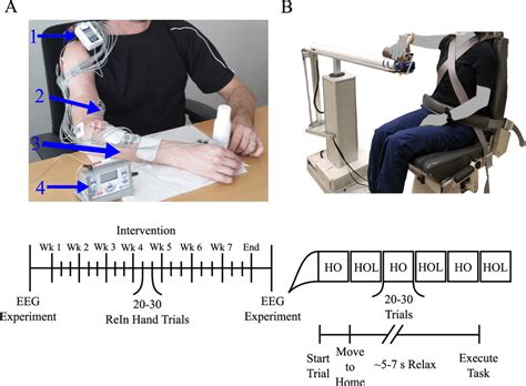 Depiction Of The Setup For The Intervention And Eeg Experiment A