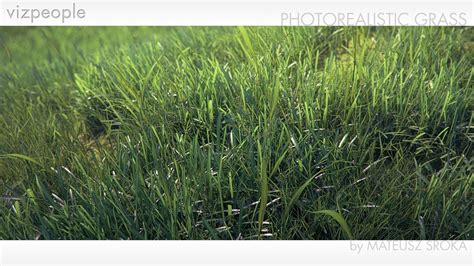 How To Make Grass In Vray