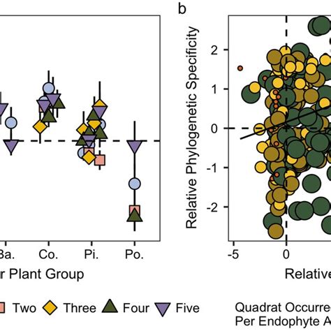 Endophytes Within Angiosperms As Asterids Ro Rosids Ba Basal
