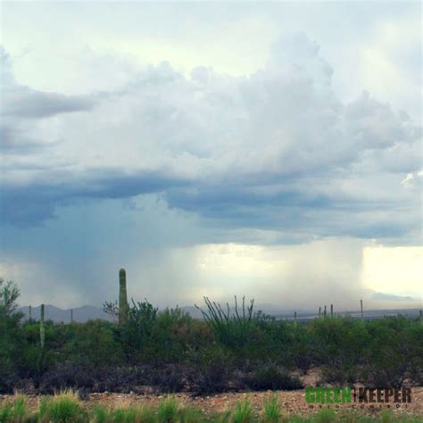 Arizonas Monsoon Season Green Keeper