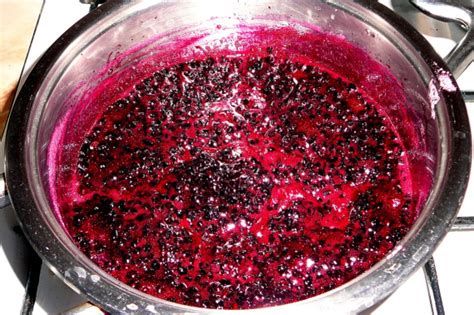 Gem Din Fructe De Soc Negru Aromat și Extraordinar De Bun Sfaturile
