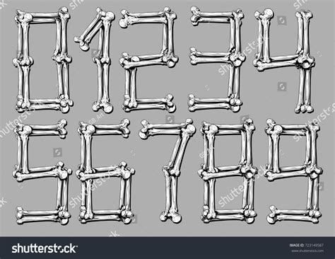 Graphic White Realistic Bones Numbers On 库存矢量图（免版税）723149587 Shutterstock