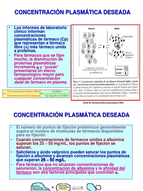 ¿qué Es La Concentración Plasmática Bxxm