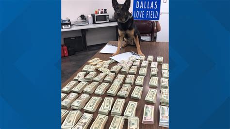 Viral Cash Seizure At Dallas Love Field Civil Asset Forfeiture