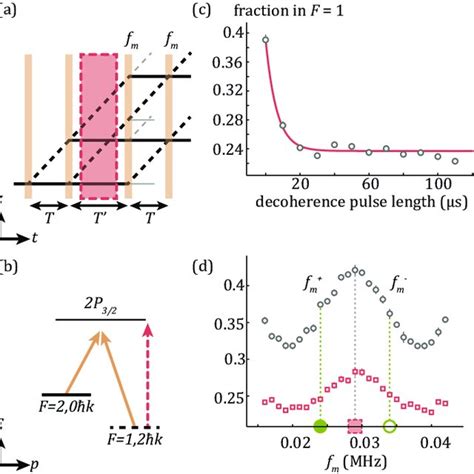 Decoherence Of The Complementary Interferometer A The Four π2 Raman