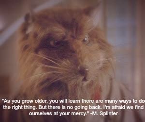 Master Splinter Quotes Quotesgram