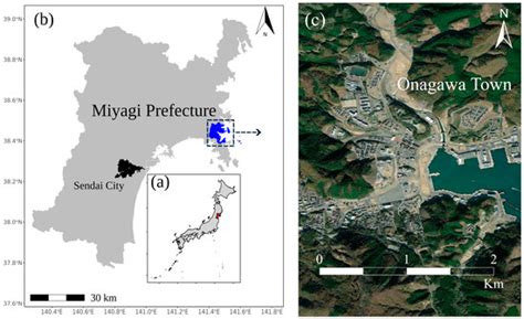 Tsunami Inundation Modelling In A Built In Coastal Environment With