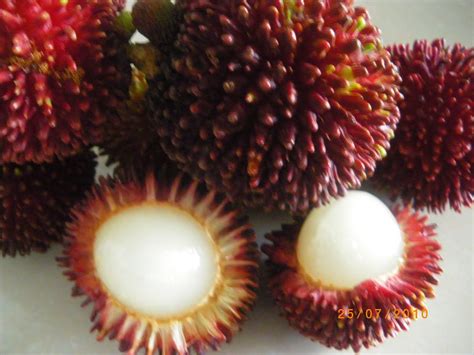 Pulasan Frutas