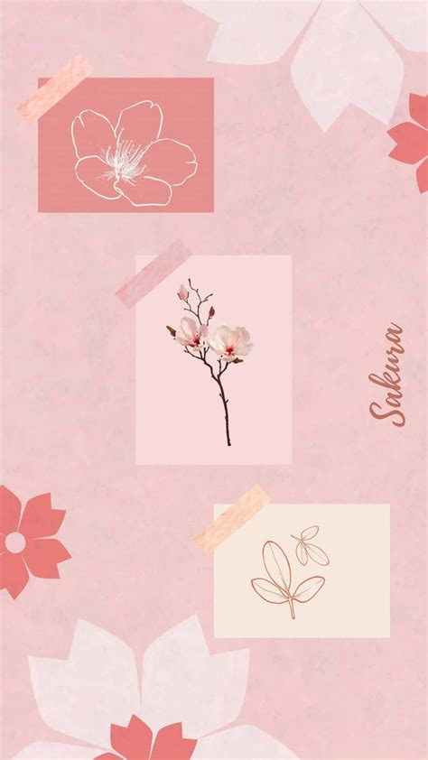 Download Sakura Background