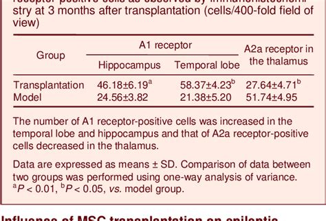 Table 1 From Reconstruction Of The Adenosine System By Bone Marrow