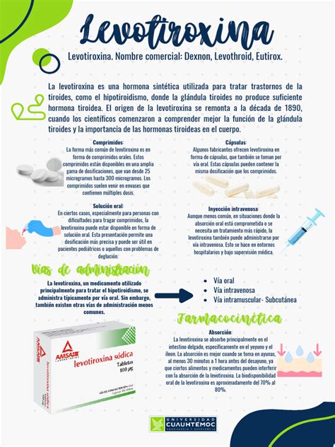Levotiroxina Pdf Hormona Drogas